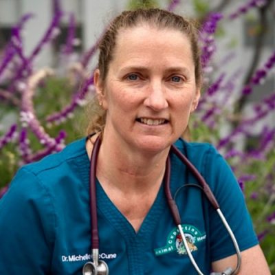 Meet Our Veterinary Team | Cupertino Animal Hospital